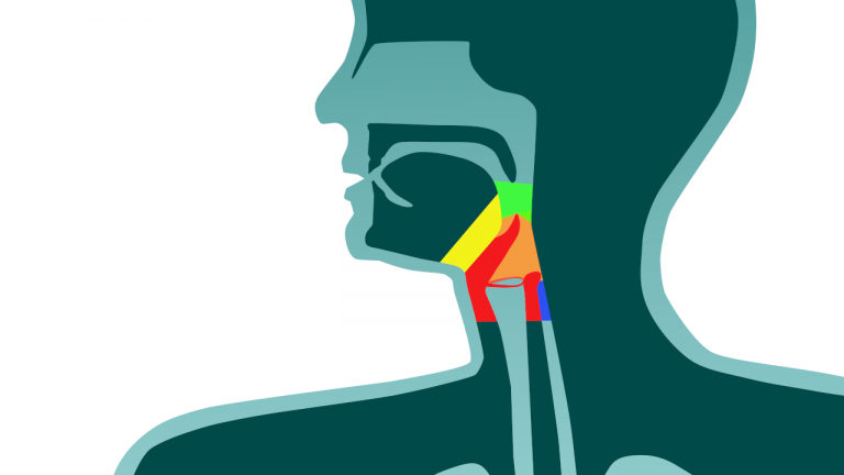 General practitioner – Surgery | Laryngectomy